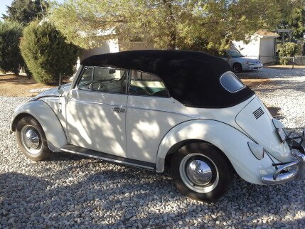 1961 Volkswagen Beetle Classics for Sale - Classics on Autotrader