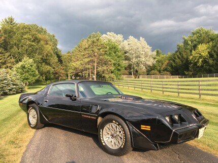 1979 Pontiac Firebird Classics for Sale - Classics on Autotrader