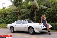 1981 Pontiac Firebird Classics for Sale - Classics on Autotrader