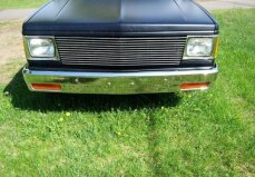 Chevrolet S10 Pickup Classics for Sale - Classics on Autotrader